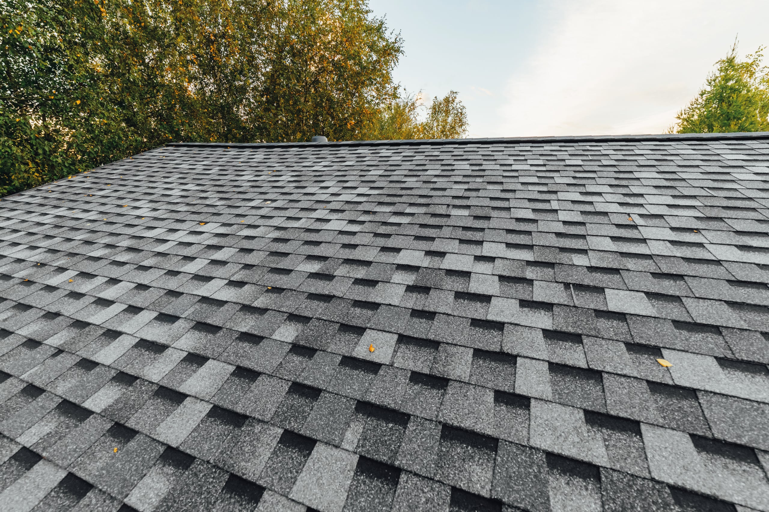 Home - 123-Dakdekkers